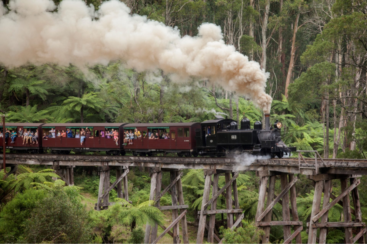 Trải Nghiệm Tàu Lửa Hơi Nước Puffing Billy – Hành Trình Quay Ngược Thời ...